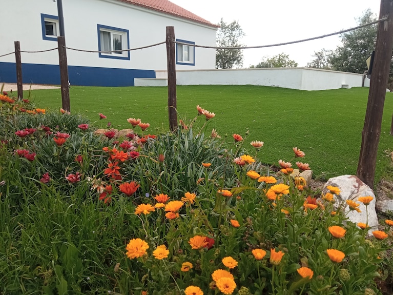 Monte Alentejano Em Fronteira - Alter do Chão
