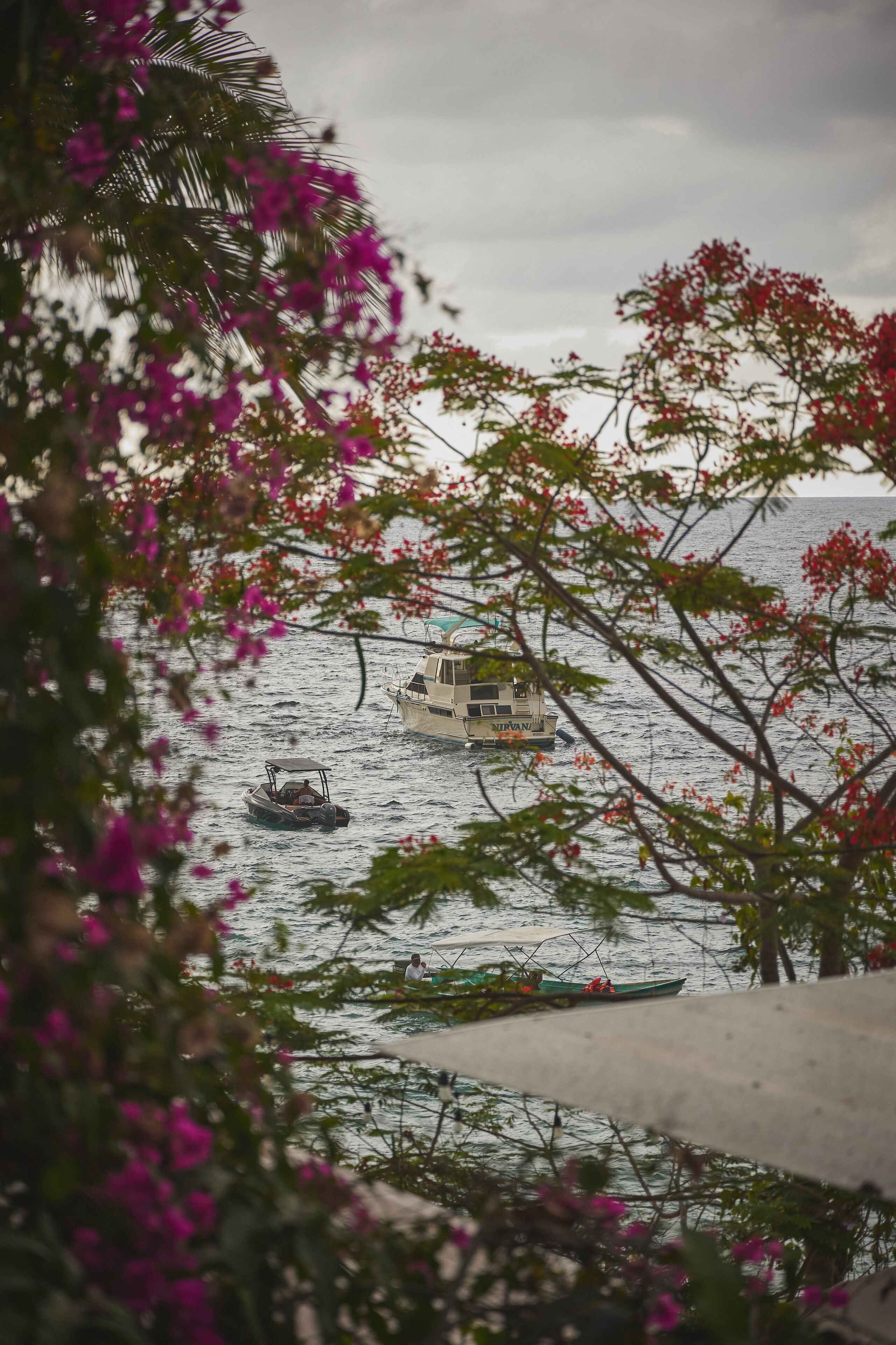 Barco chamado "NIRVANA" em águas calmas, rodeado por outros barcos e vegetação exuberante.