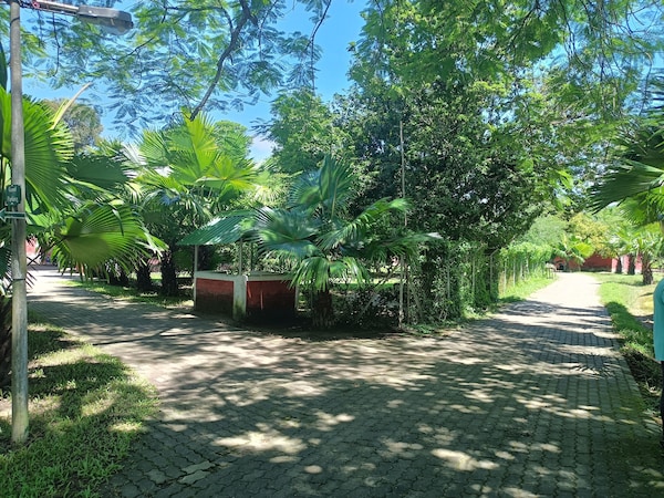 Chai Seeds Resort -