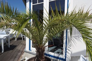 Terraço/pátio interior