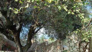 Villa, 2 quartos, varanda, vista para o jardim | Jardim