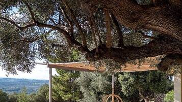 Villa, 2 quartos, varanda, vista para o jardim | Terrenos do alojamento