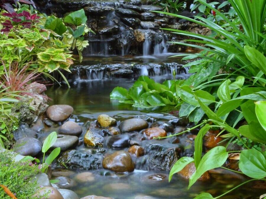 Pequena cascata rodeada por pedras e vegetação exuberante.