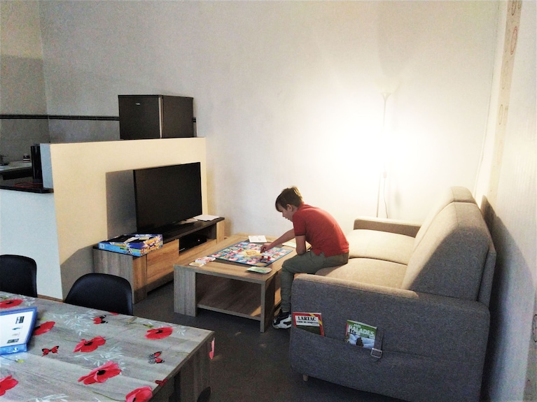 City Center - L'appart Millau - Wifi And Free Parking - Millau