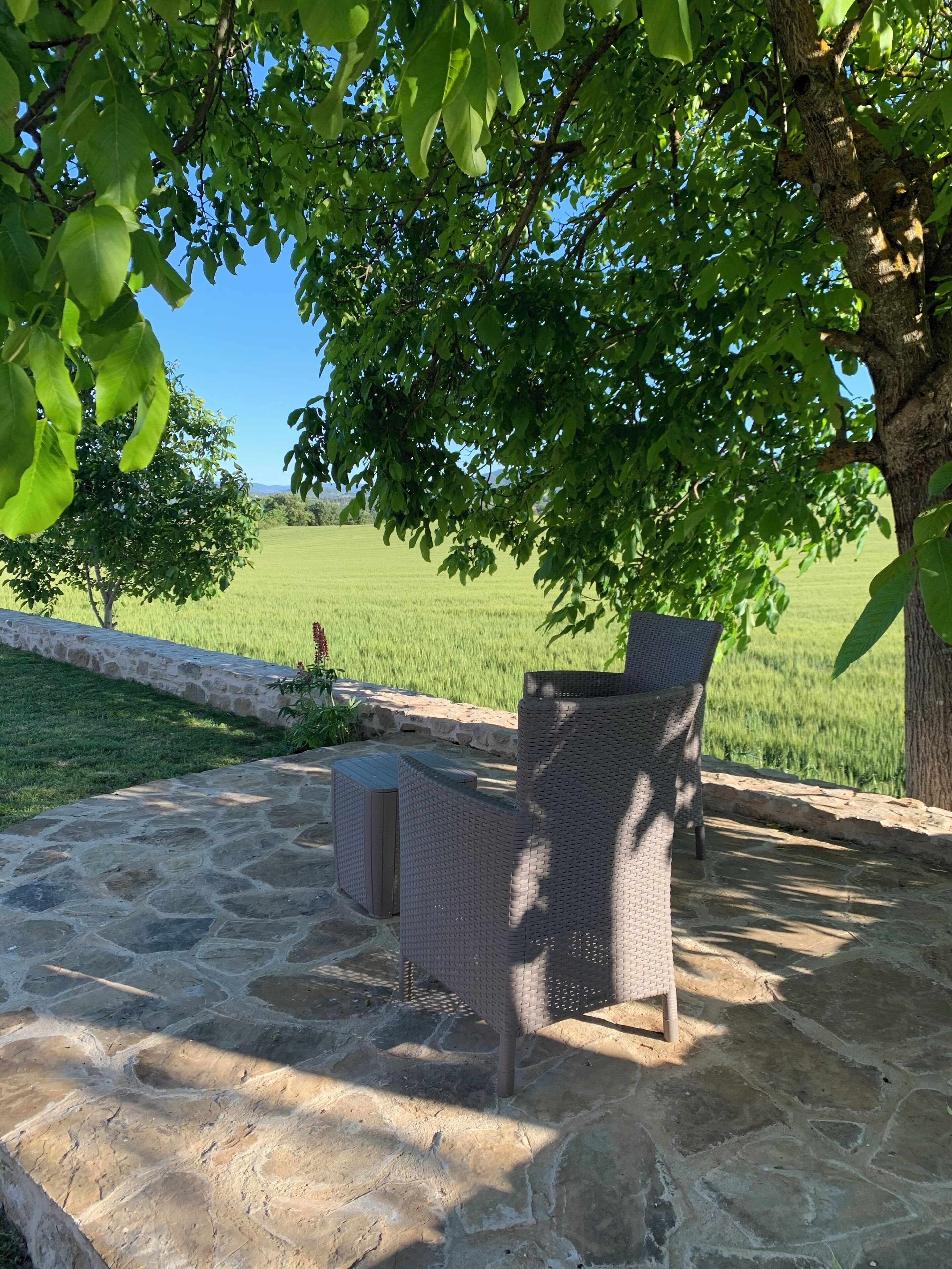 Uma área externa com assentos de vime e piso de pedra, rodeada por vegetação e vista para um campo.