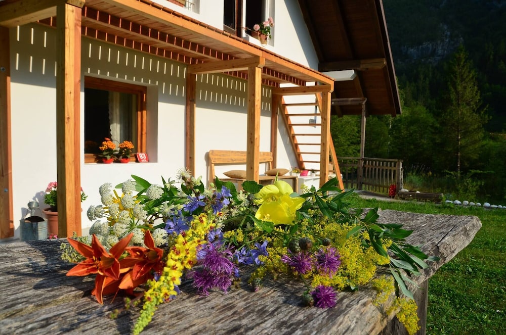 Soča Home With The View - Trenta