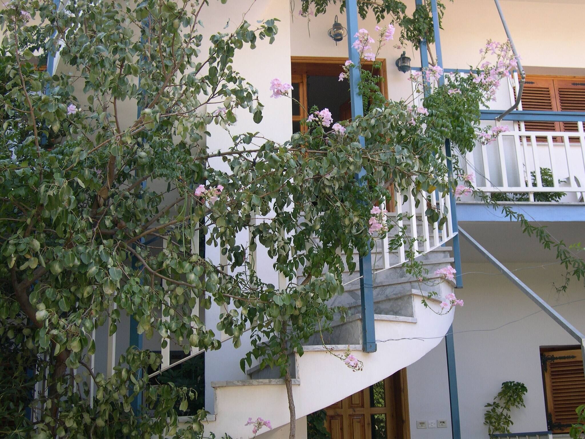 Apartamento, 2 quartos, para fumantes, sacada | Detalhe da fachada