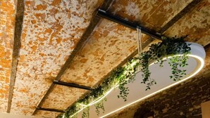 Uma área de recepção com teto rústico, piso estampado e balcão de atendimento com planta suspensa.