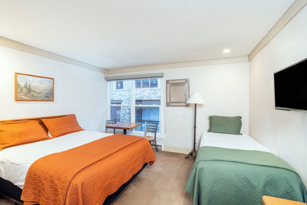 마운틴사이드 인 305 1 베드룸 호텔 룸 바이 알파인 로징 텔루라이드 - 콜로라도