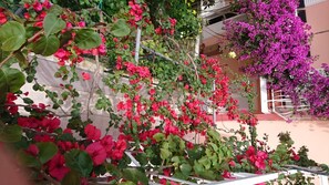 Apartamento, fumadores