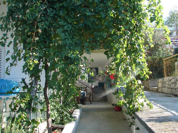 Quarto