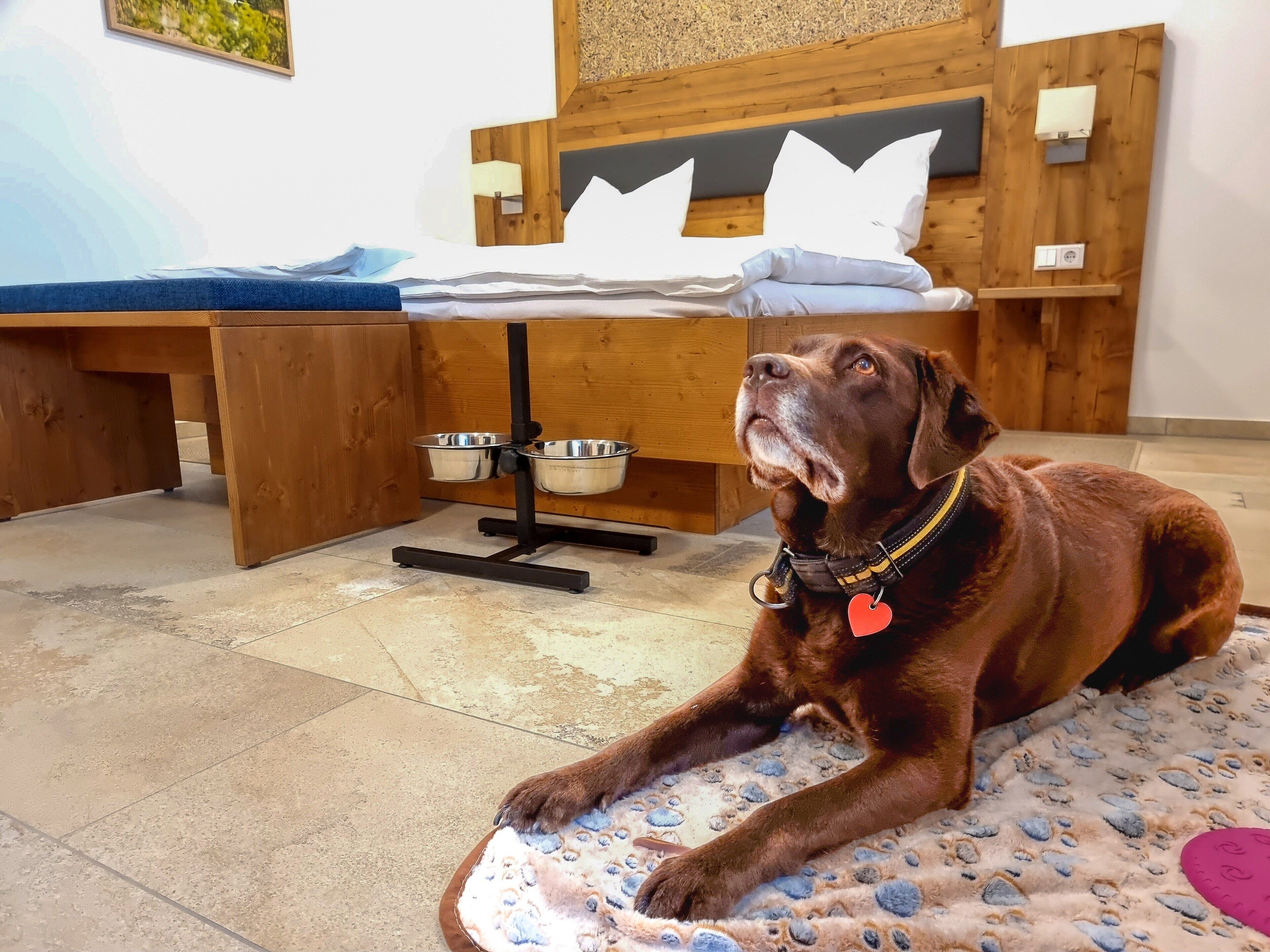 Apartment Mit Deckenbalken - Muhr am See