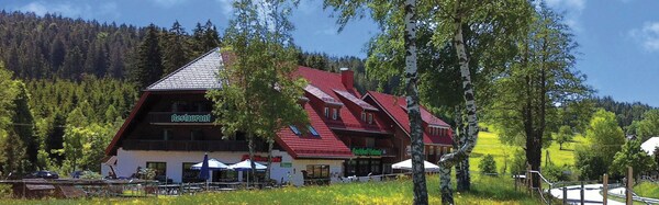 Double Room With Balcony, Shower And Wc - Breitnau