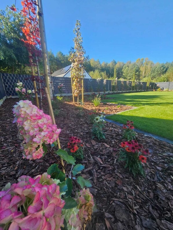 Quiet vacation home in the middle of the forest Reviews, Deals & Photos ...