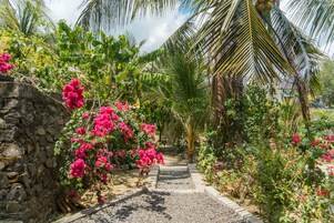 Um caminho ladeado por vegetação exuberante e plantas floridas, conduzindo a um edifício.
