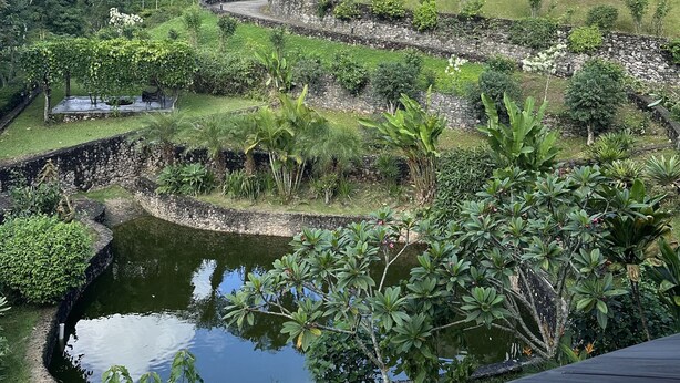 Um edifício moderno com um muro de pedra, um pequeno lago e vegetação exuberante.