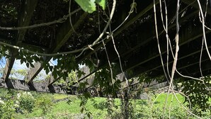 Um banco de pedra, um lareiro e uma cadeira de vime numa área ajardinada com um muro de pedra e vegetação.