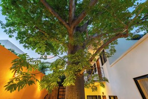 Quarto luxo, 1 cama Queen | Terraço/pátio