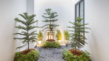 Jardim