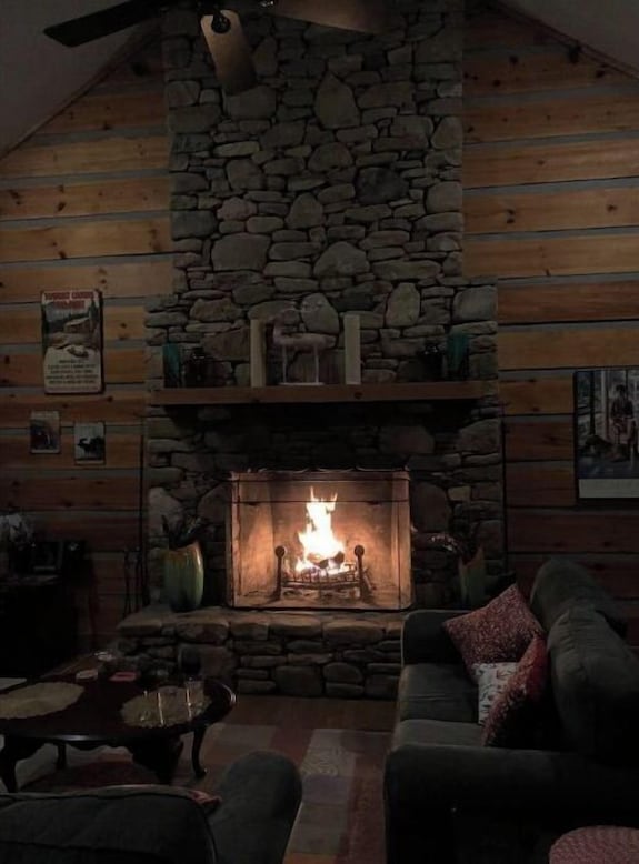 Asheville Log Cabin W/ Year-round Mountain Views! - Asheville, NC