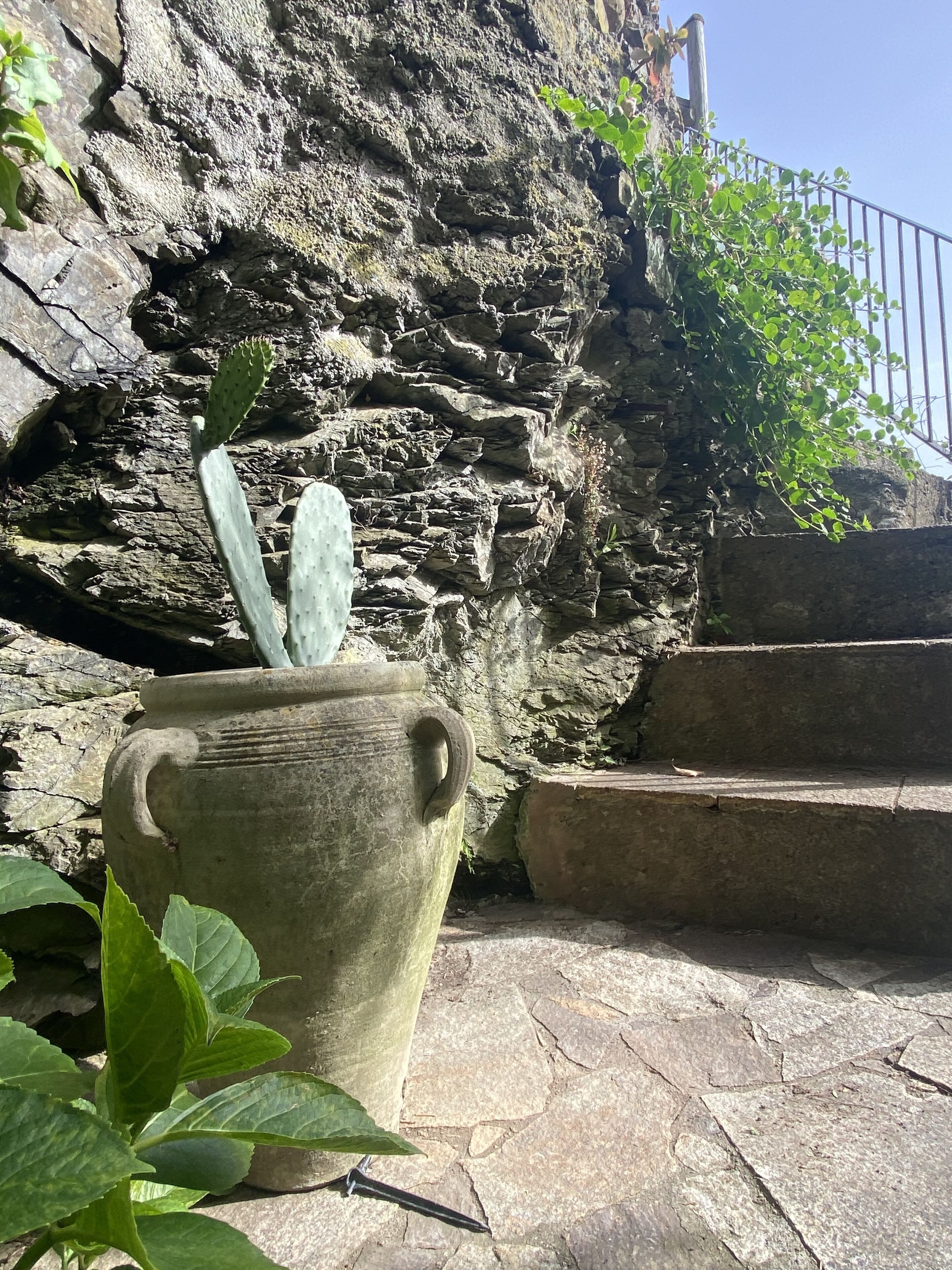 Um vaso de pedra com um cacto numa escadaria de pedra.