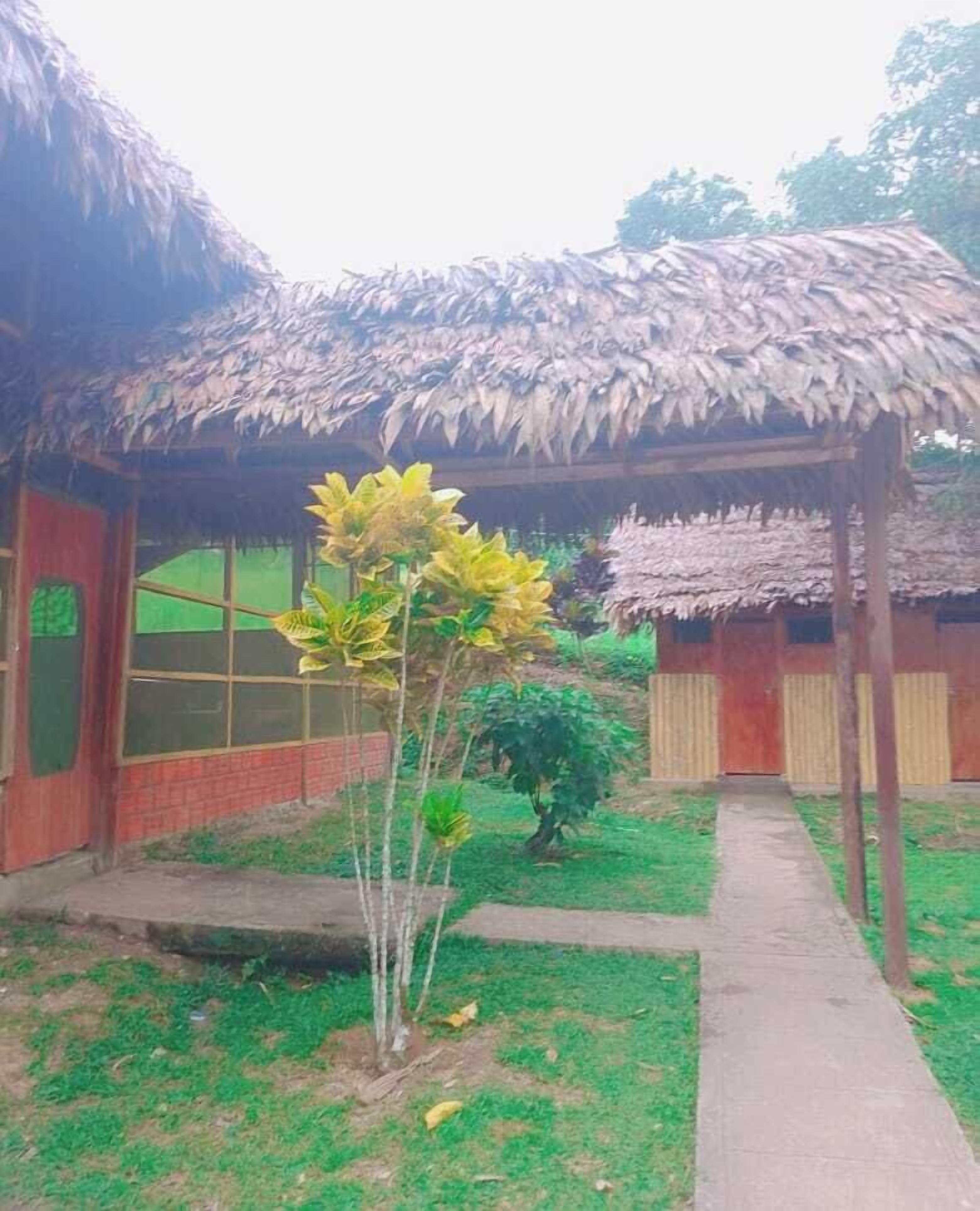 Um edifício rústico com telhado de palha, um pequeno jardim e um caminho que leva à entrada.
