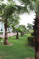 Um jardim paisagístico com palmeiras e arbustos bem cuidados, um caminho pavimentado e um edifício com grandes janelas ao fundo.