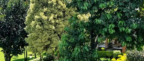 Terraço/pátio interior