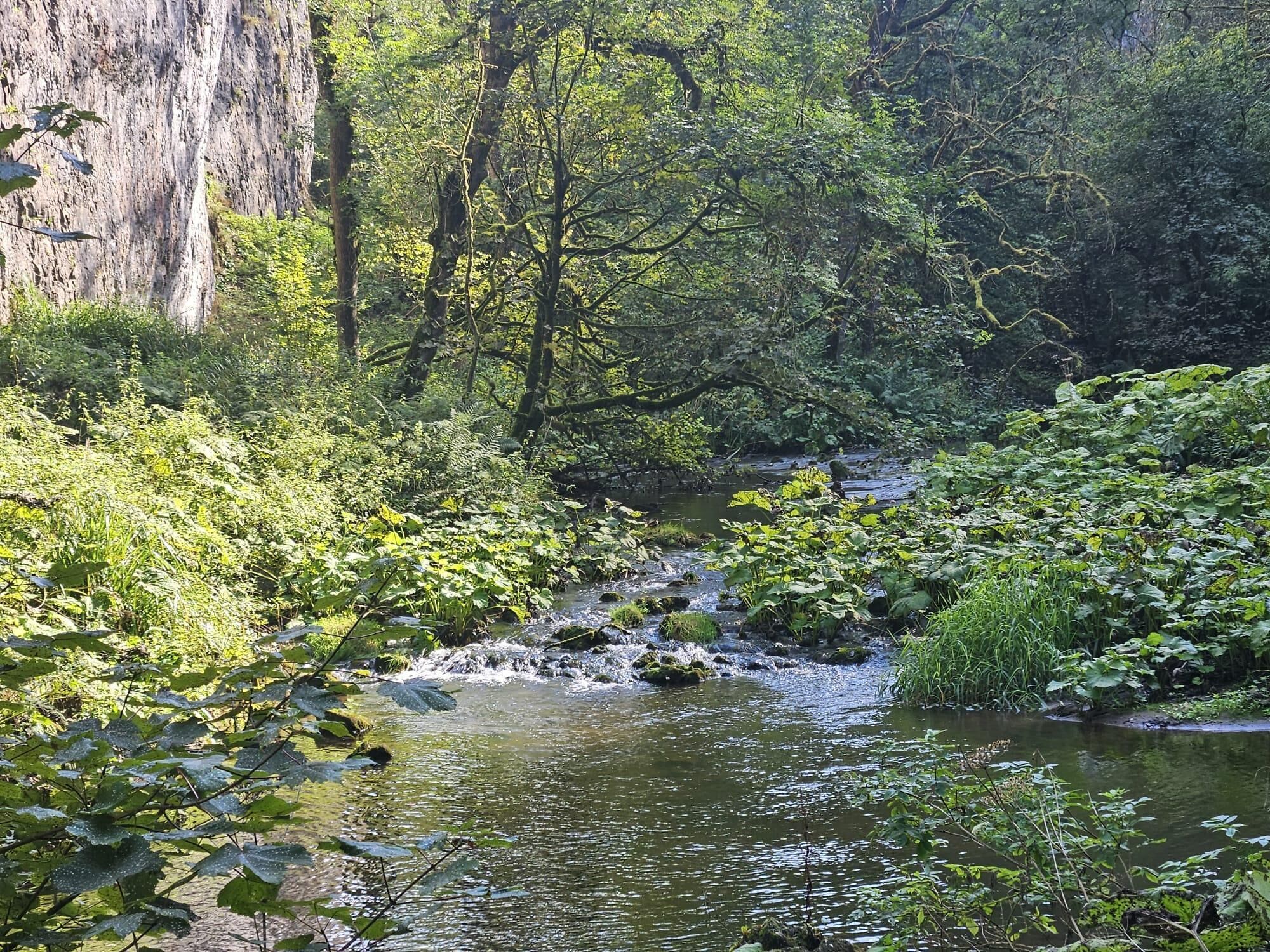 Paisagem natural com um riacho serpenteando por uma área florestada, com penhascos rochosos ao fundo.