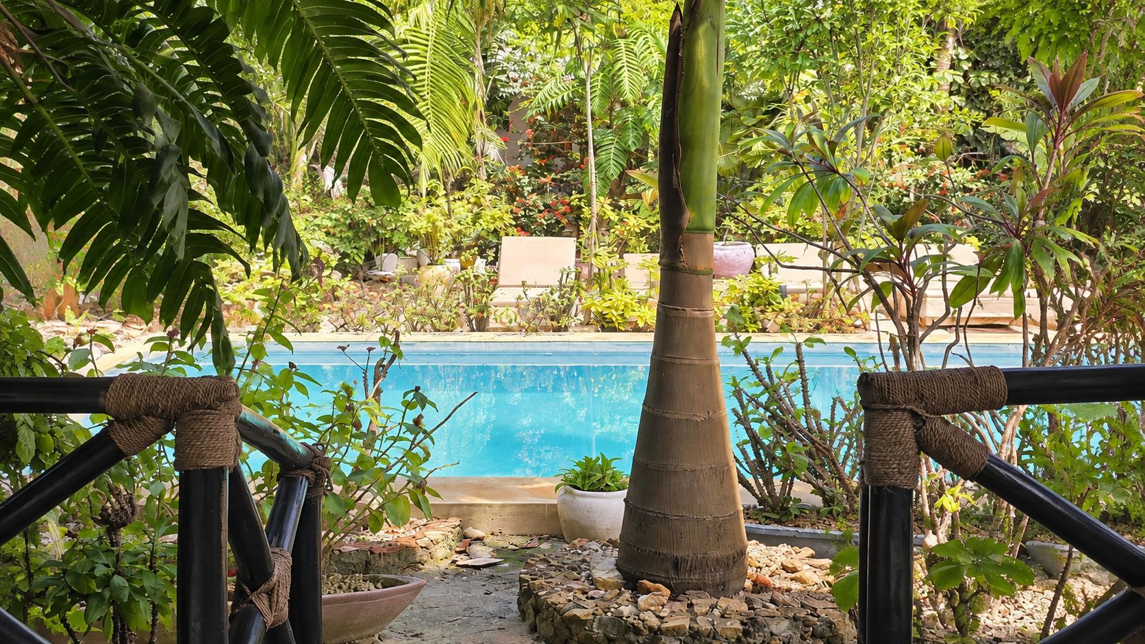 Piscina rodeada por vegetação exuberante e um caminho de pedra que a leva.