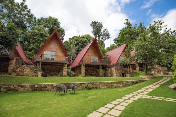 The Pear Orchard By Countryside - Uttarakhand