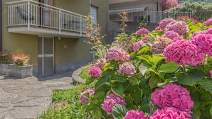 Um edifício residencial com varandas, um caminho de pedra e arbustos de hortênsia rosa.