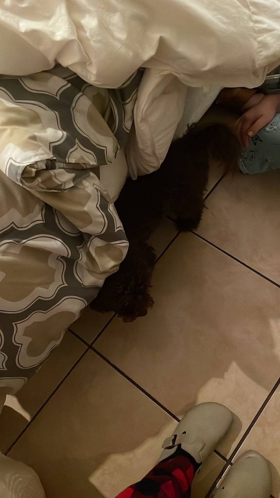 Casa Grande - Cartago