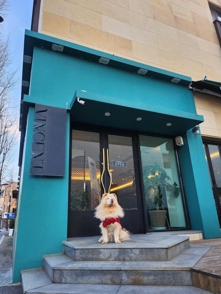 Jeonju Hotel The Vincent - Jeonju-si