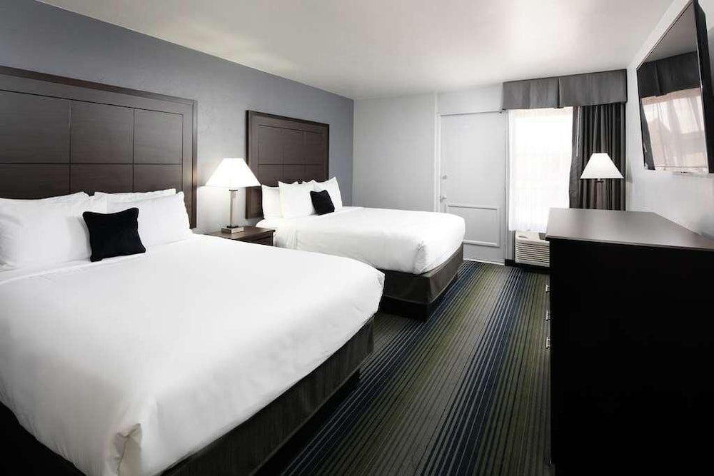 Spend A Day At Reid Park Zoo! Comfortable Accommodation In Downtown Tucson! Pool - Tucson, AZ