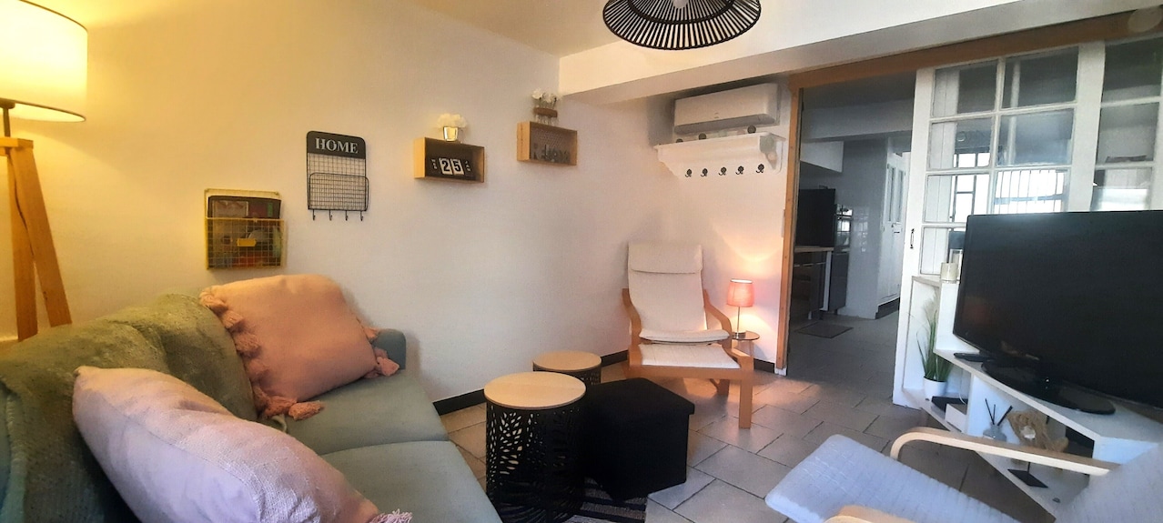 Le 100 + Patio + Climatisation + Bbq + Spa - Carcasona