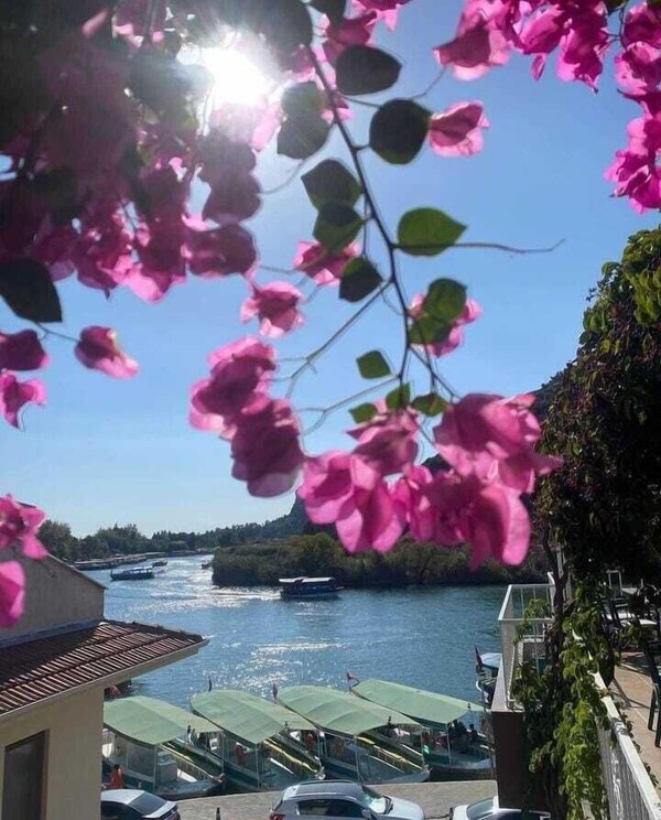 Aydın Pansiyon - Dalyan, Ortaca-Muğla