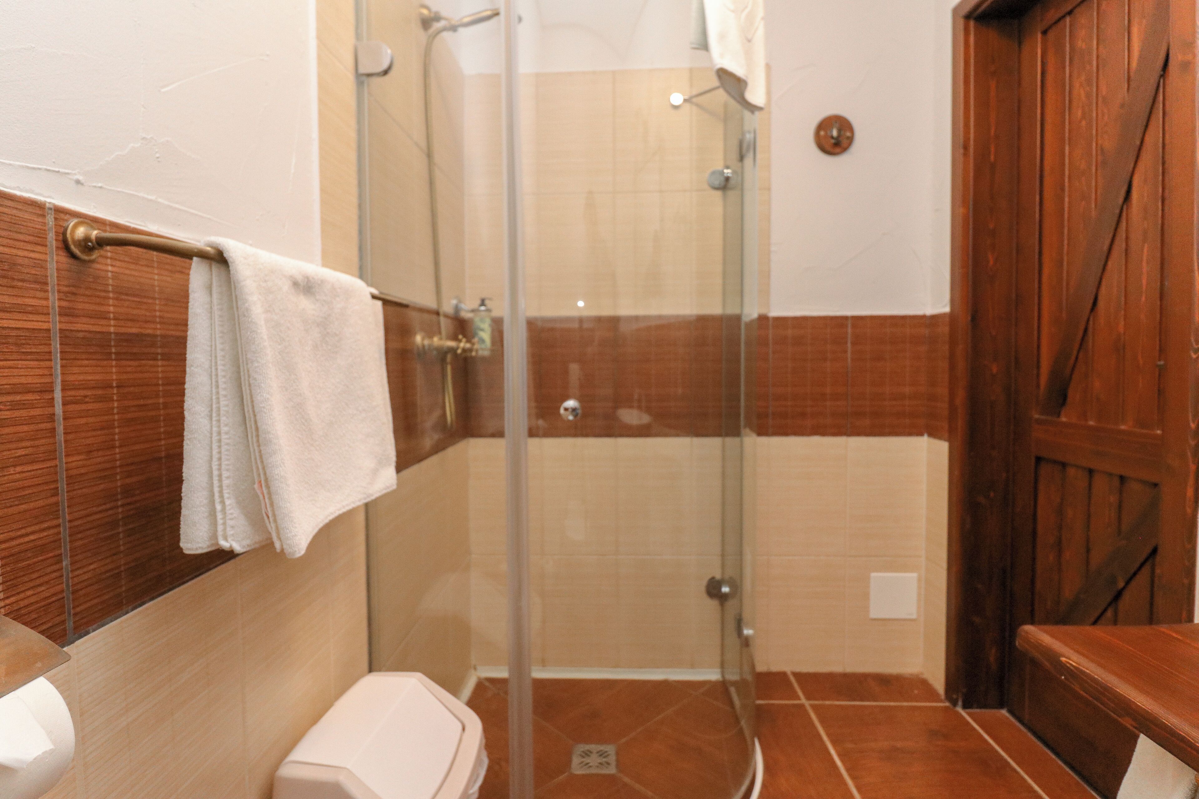 Um banheiro com box de vidro, porta de madeira e porta-toalhas.