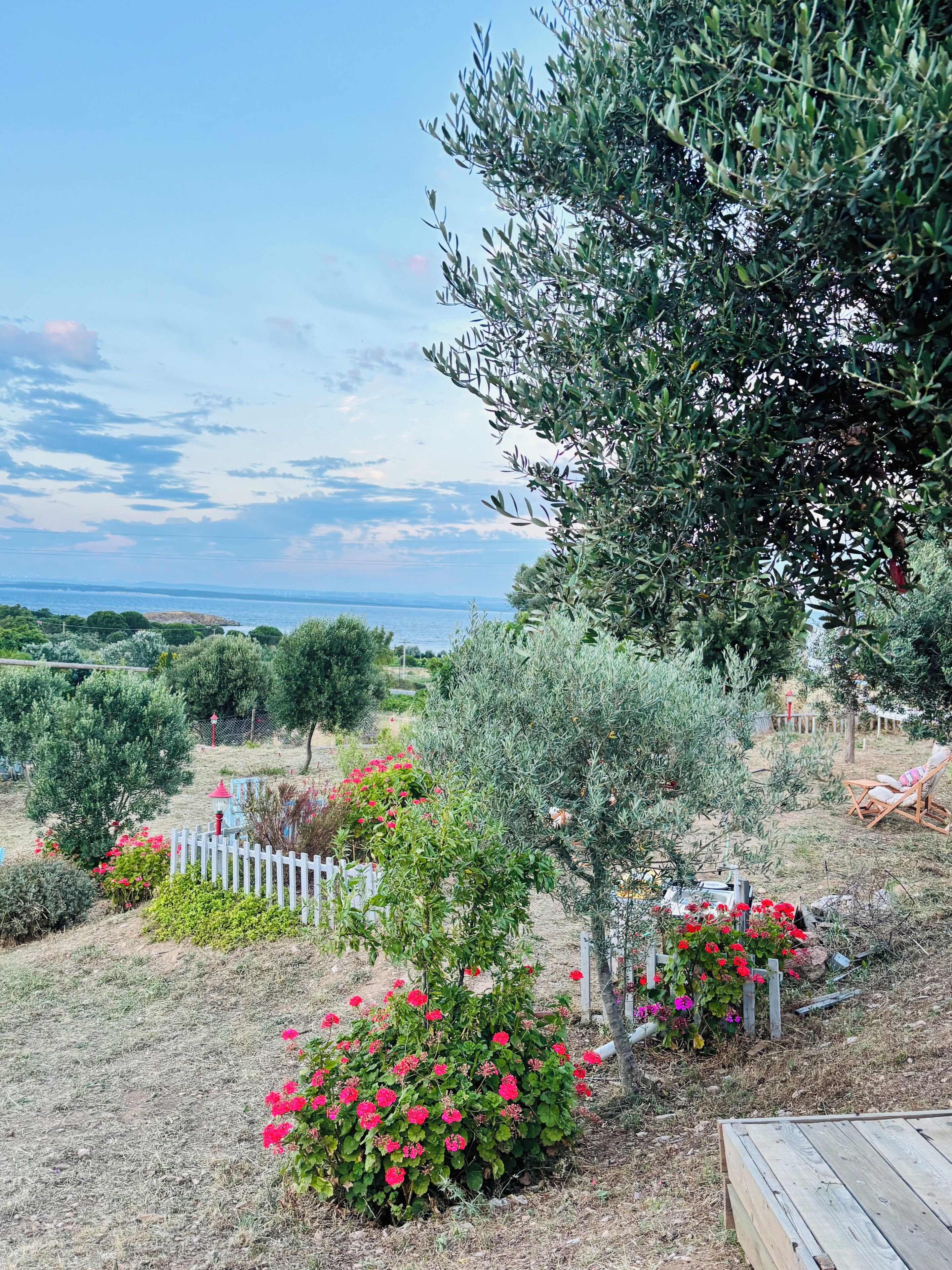 Um jardim com cerca branca, flores vermelhas e vista para o mar.