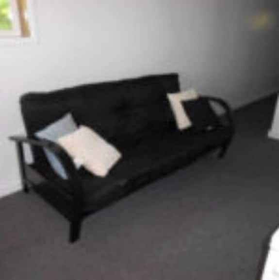 Boondocks Cabin - Illinois