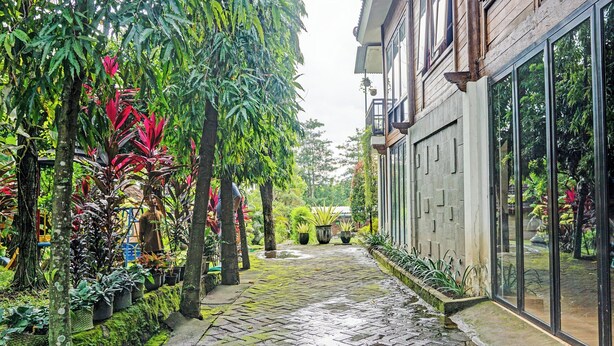 Um caminho estreito ladeado por vegetação exuberante e plantas em vasos, que leva a um edifício com grandes janelas e uma varanda.