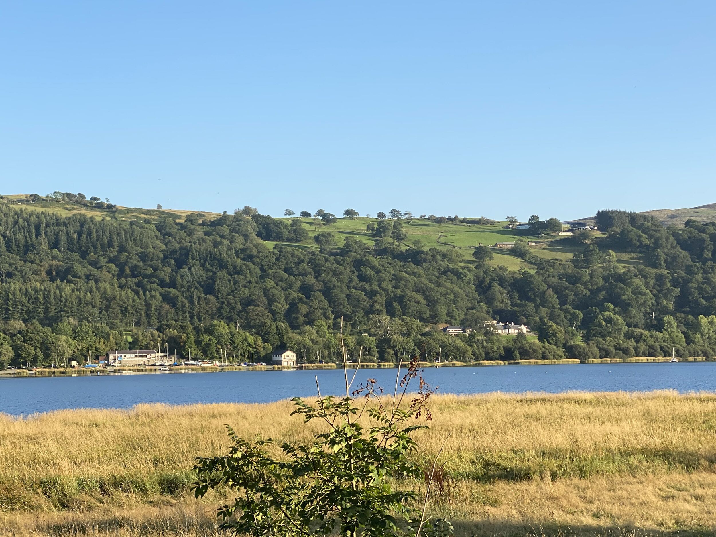 Vista para um lago, com uma colina coberta por árvores e alguns edifícios ao longe.