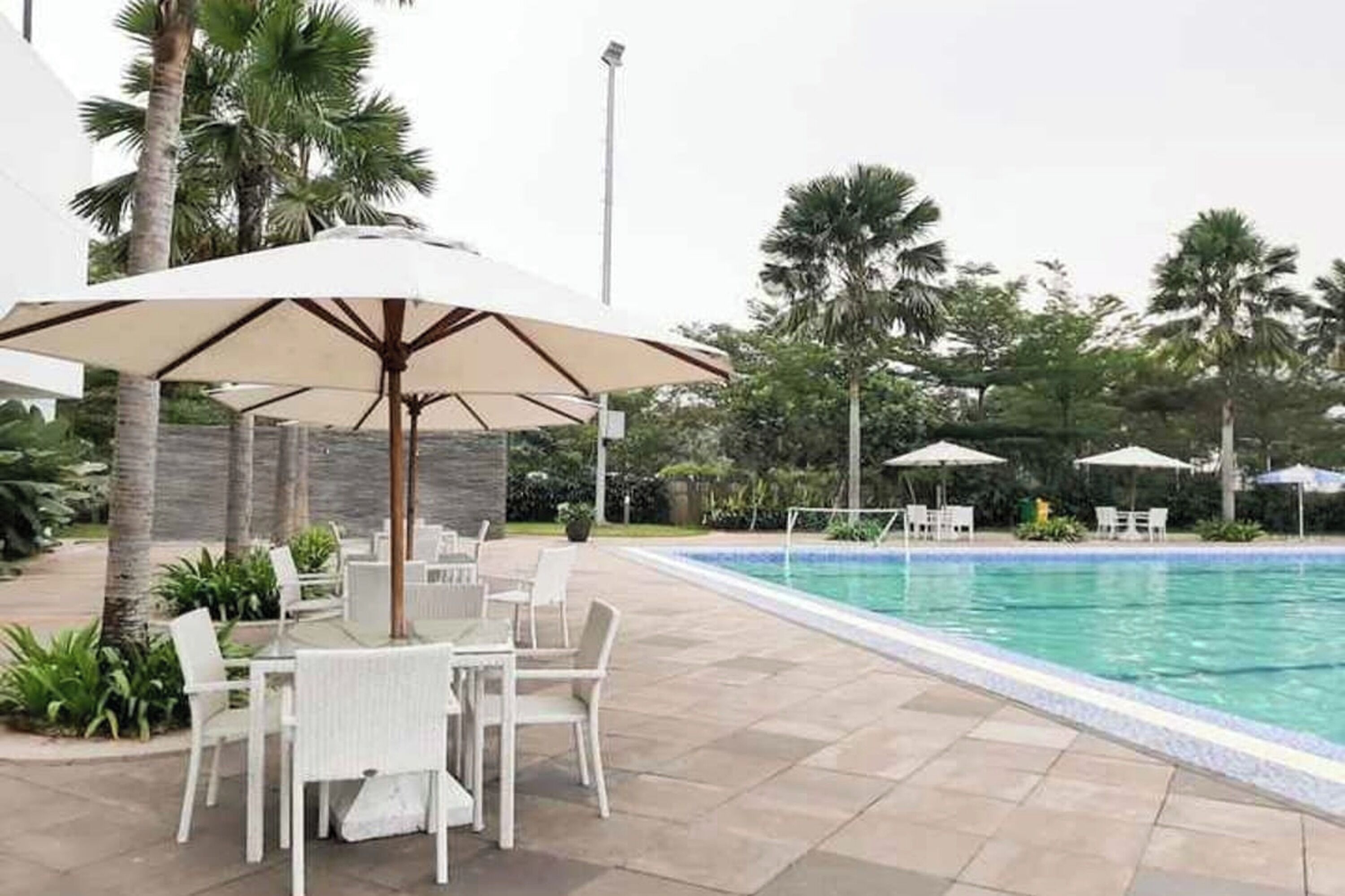 Uma área de piscina com cadeiras e guarda-sóis brancos, cercada por palmeiras e uma piscina límpida.