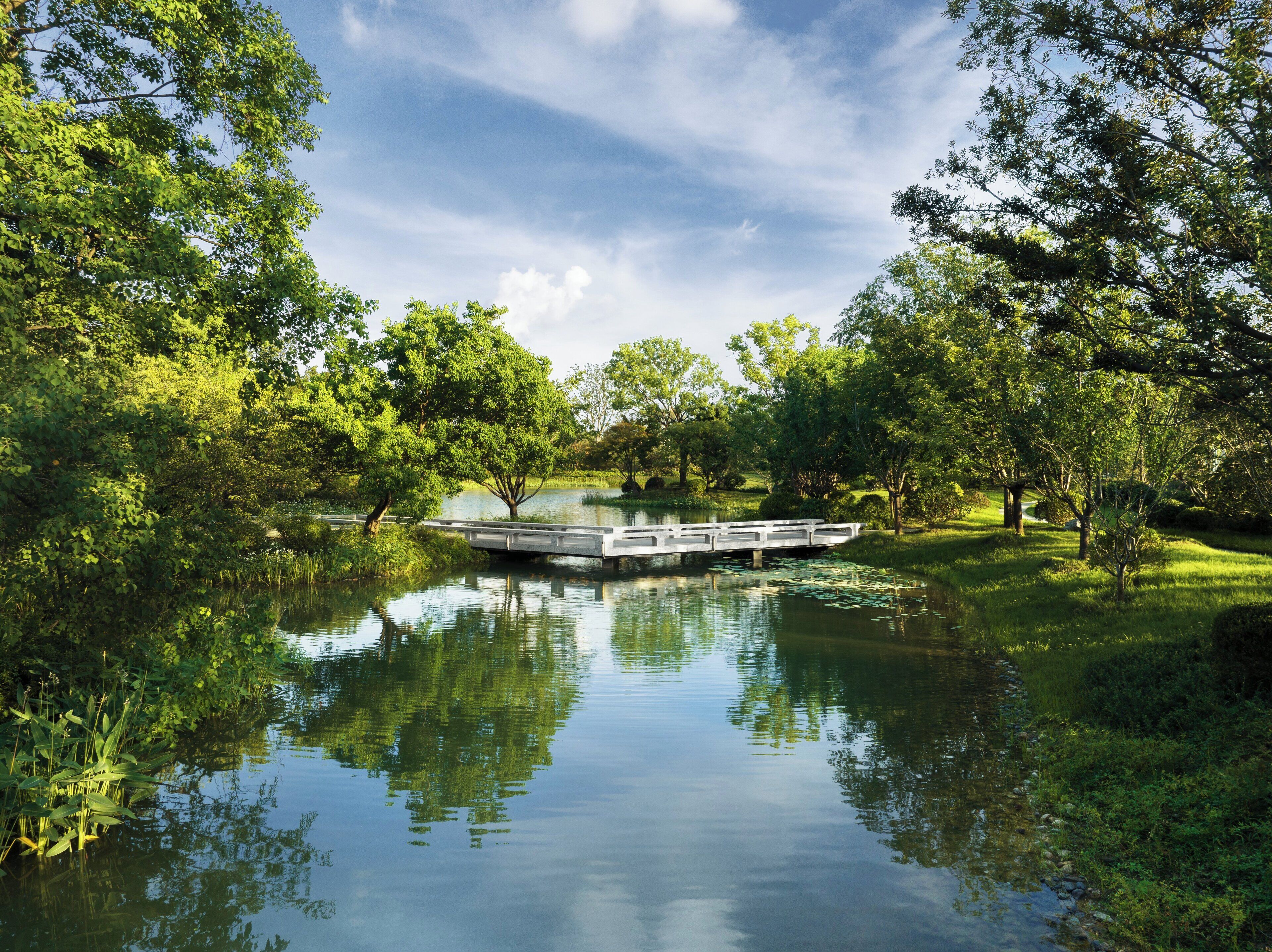 Um parque tranquilo com uma ponte sobre um lago calmo, rodeado por vegetação exuberante e árvores.