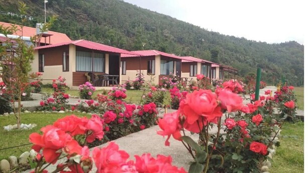 Uma fileira de edifícios baixos com telhados vermelhos, rodeada por um jardim com rosas cor-de-rosa.