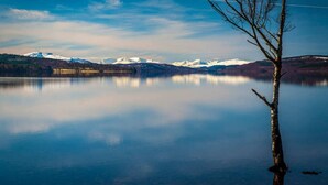 Um lago tranquilo com uma única árvore em primeiro plano, rodeado por montanhas cobertas de neve sob um céu claro.