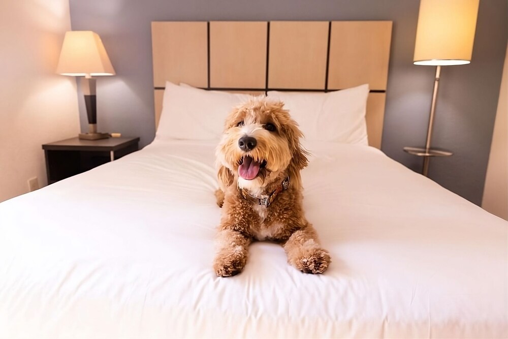 Indulge In Home Like Comfort! Full Kitchen, Pet-friendly Property - Baltimore/Washington Airport (BWI)