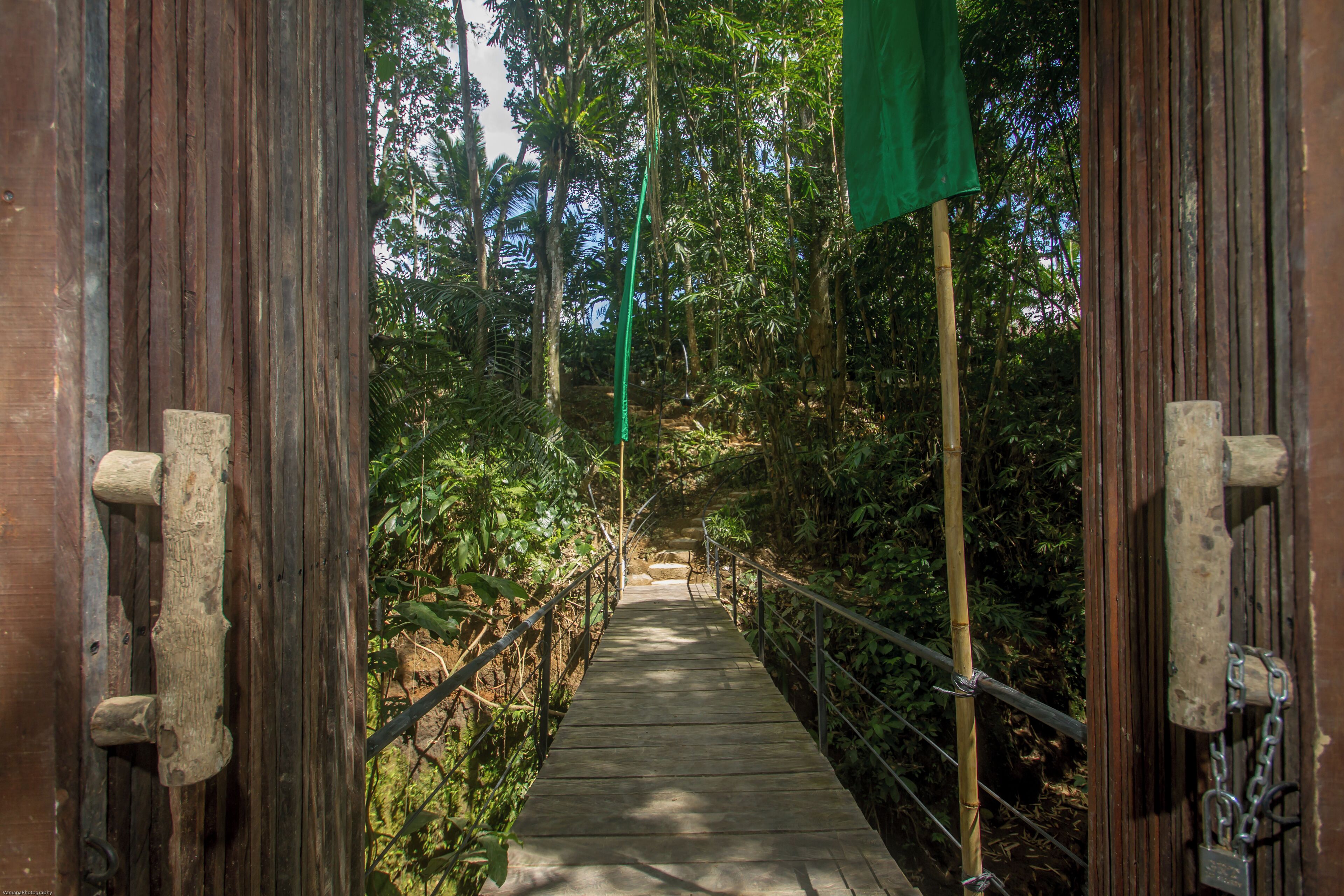 Uma ponte de madeira com grades de metal, rodeada por vegetação densa e árvores.