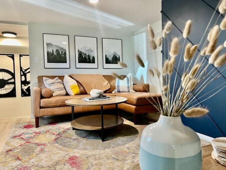 Modern 2 Bed 1 Bath Walking Distance To Downtown - Brevard, NC