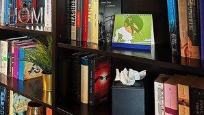 Uma estante com diversos livros, uma pequena planta em vaso e uma caixa de lenços.